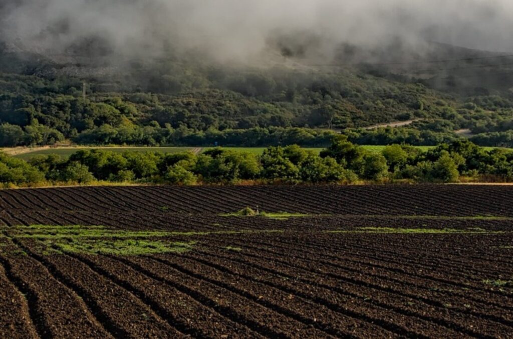 Nikkei Farm History - Japanese American Farm History